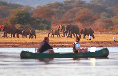 El Parque Nacional Lago Manyara, en Tanzania : SobreTurismo